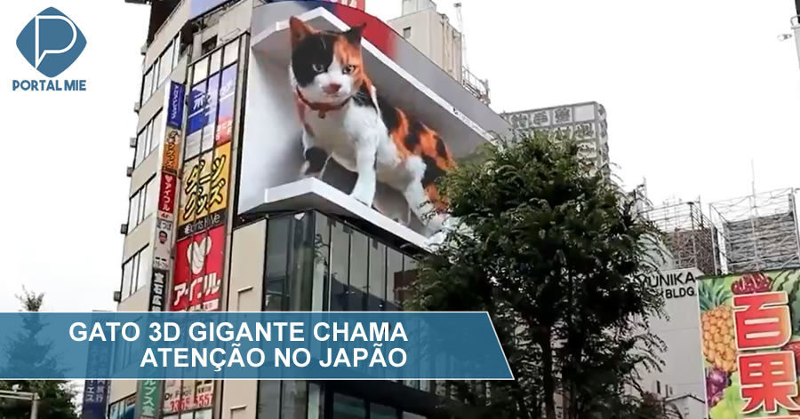 Gato gigante em 3D incrivelmente realista chama atenção no Japão ...