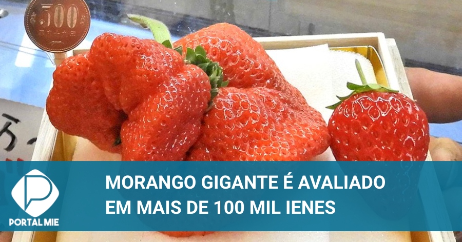 Mais de 100 mil ienes custa o morango gigante, de sabor delicado ...