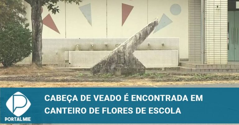 Cabeça de veado é encontrada em shogakko - Portal Mie