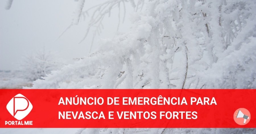 Anúncio de emergência para nevasca e o pior frio deste inverno - Portal Mie
