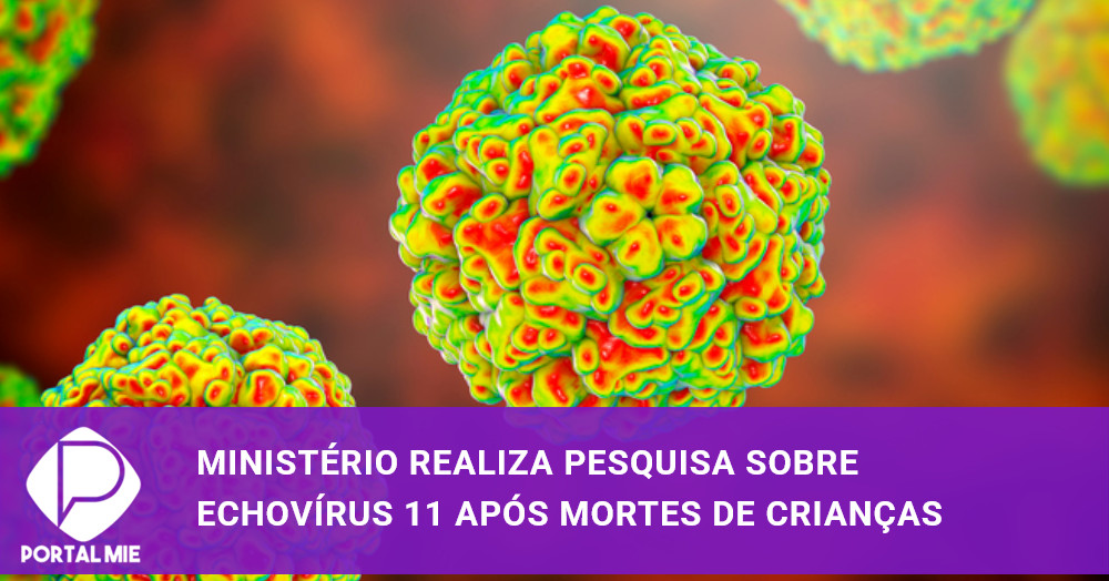 Mortes de crianças levam à realização de pesquisa sobre infecções por ...