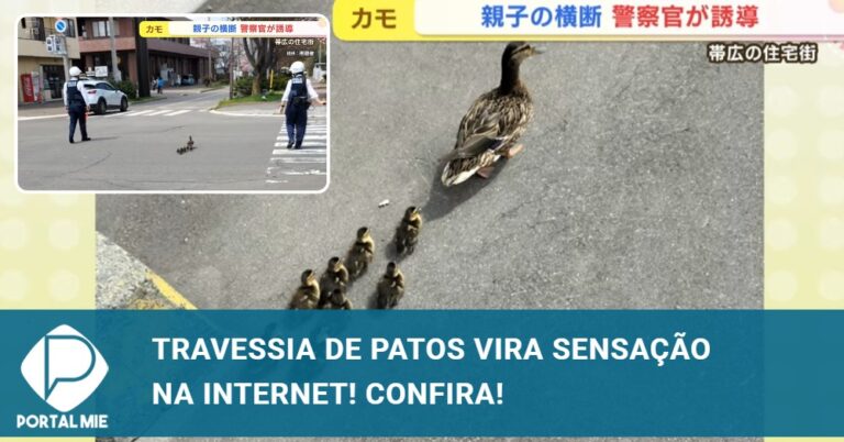 Família de patos é escoltada por policiais durante travessia de rua ...